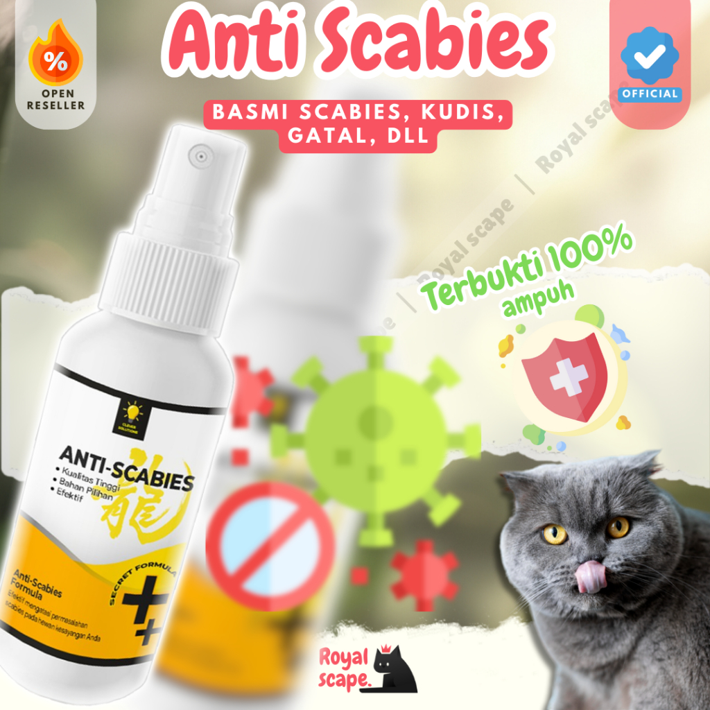 Jual ANTI SCABIES Obat Jamur & Scabies Kucing – Mengatasi Kudis, Gatal ...