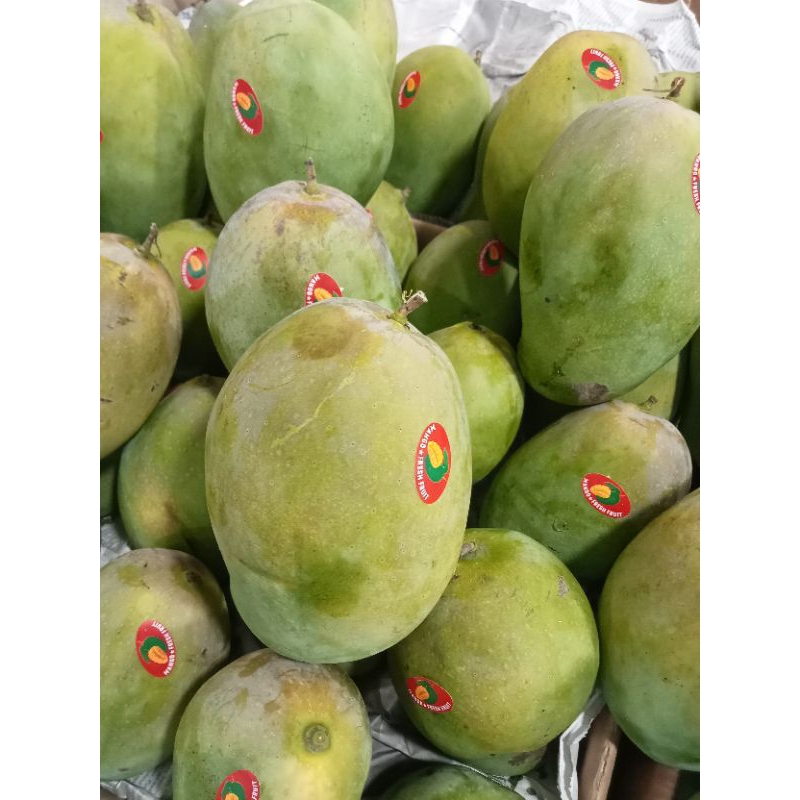 Jual MANGGA HARUM MANIS SUPER 1kg | Shopee Indonesia