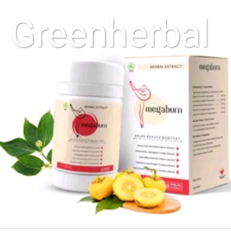 Jual Megaburn Body Fat Obat Diet Penurun Berat Badan Original | Shopee ...