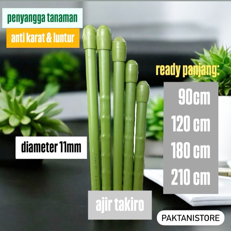Jual Plant Stake penyangga tanaman Ajir/ lanjaran, Original TAKIRO anti ...