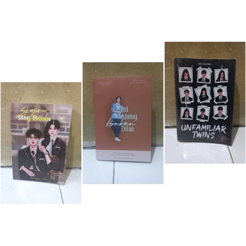 Jual Novel preloved original murah || Ini Aheng Bukan Dilan, Unfamiliar Twins, Skaya and the ...