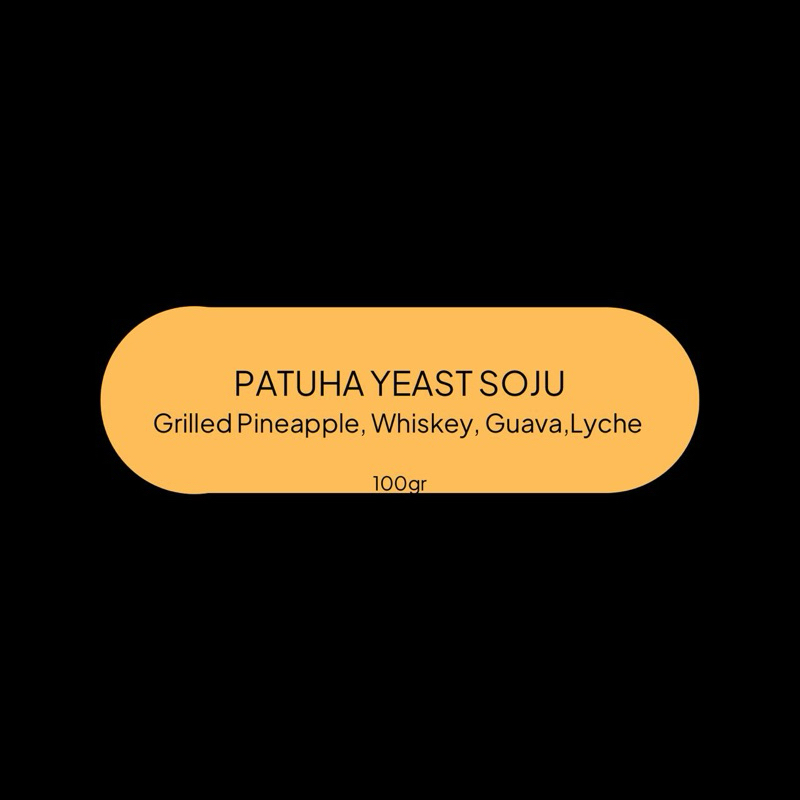 Jual PATUHA YEAST SOJU ROASTED BEANS 100gr | Shopee Indonesia