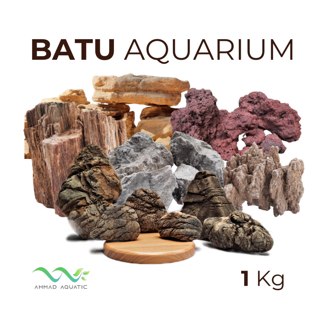 Jual BISA COD! BATU AQUARIUM Batu Lavarock, Batu Pasir, Batu Turly ...