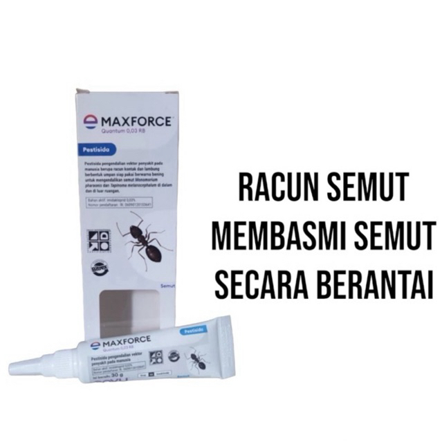 Jual Racun Semut Pembasmi Semut Maxforce Quantum Secara Berantai 30 gram | Shopee Indonesia