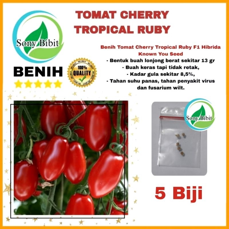 Jual 5 Benih Tomat Cherry Tropical Ruby Known You Seed Benih Ekonomis | Shopee Indonesia