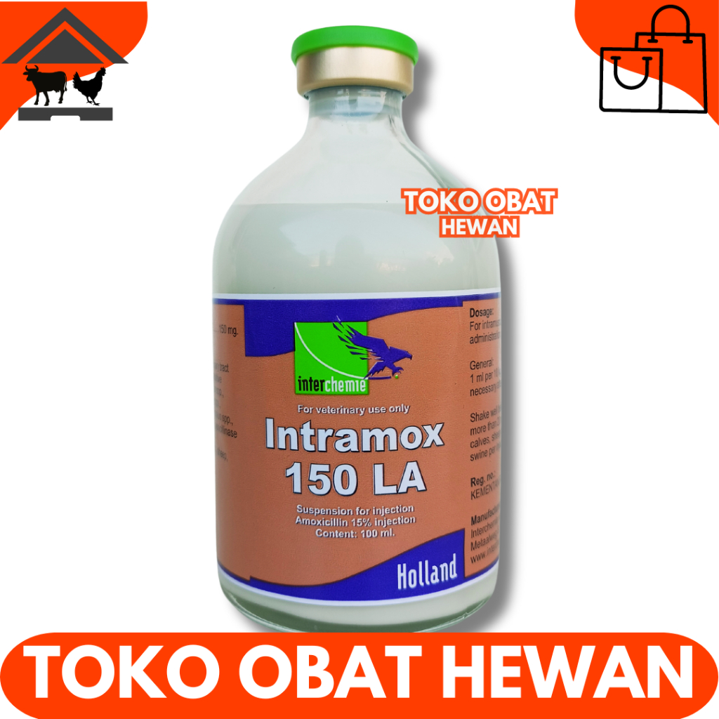 Jual INTRAMOX 150 LA 100 ml - Obat Hewan Amoxyciline Long Acting - like ...