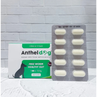 Jual Anthel Dog Obat Cacing Murah Pengganti Drontal Dog Per Tablet ...