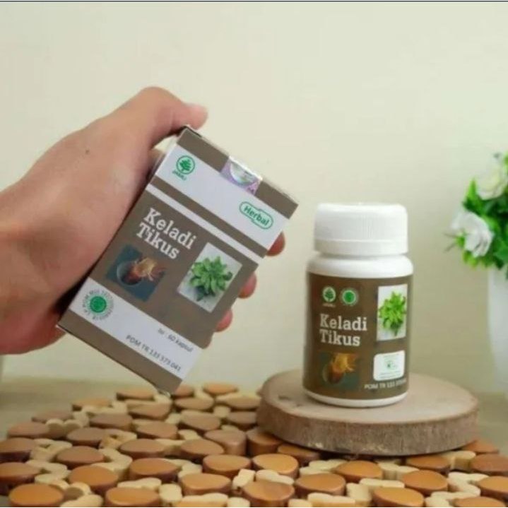 Jual Kapsul Herbal Kanker Keladi Tikus HIU Original Herbal Indo Utama ...