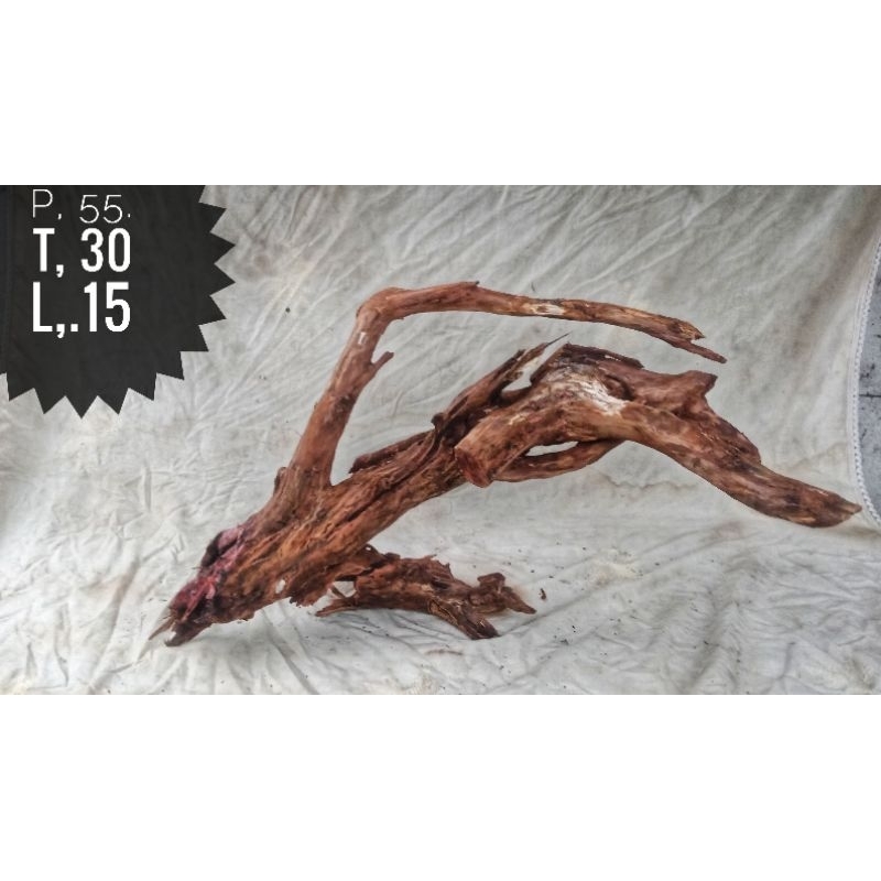 Jual kayu, Rentek Kayu Tua Jenis Bonggol Ranting | Shopee Indonesia