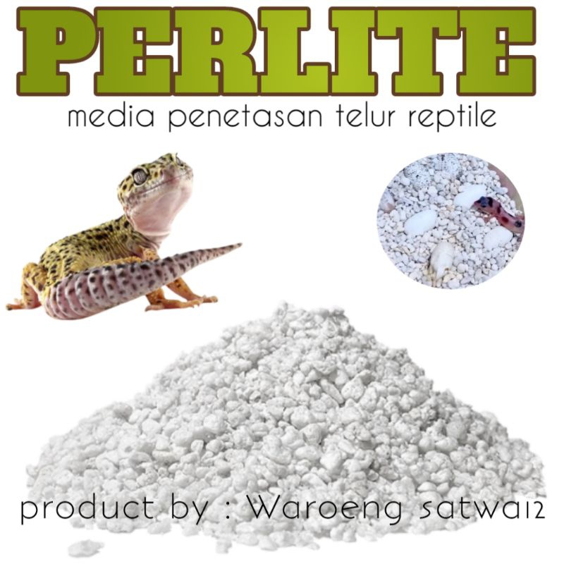 Jual 250GR Perlite media tetas telur gecko bearded dragon tokek bunglon ...