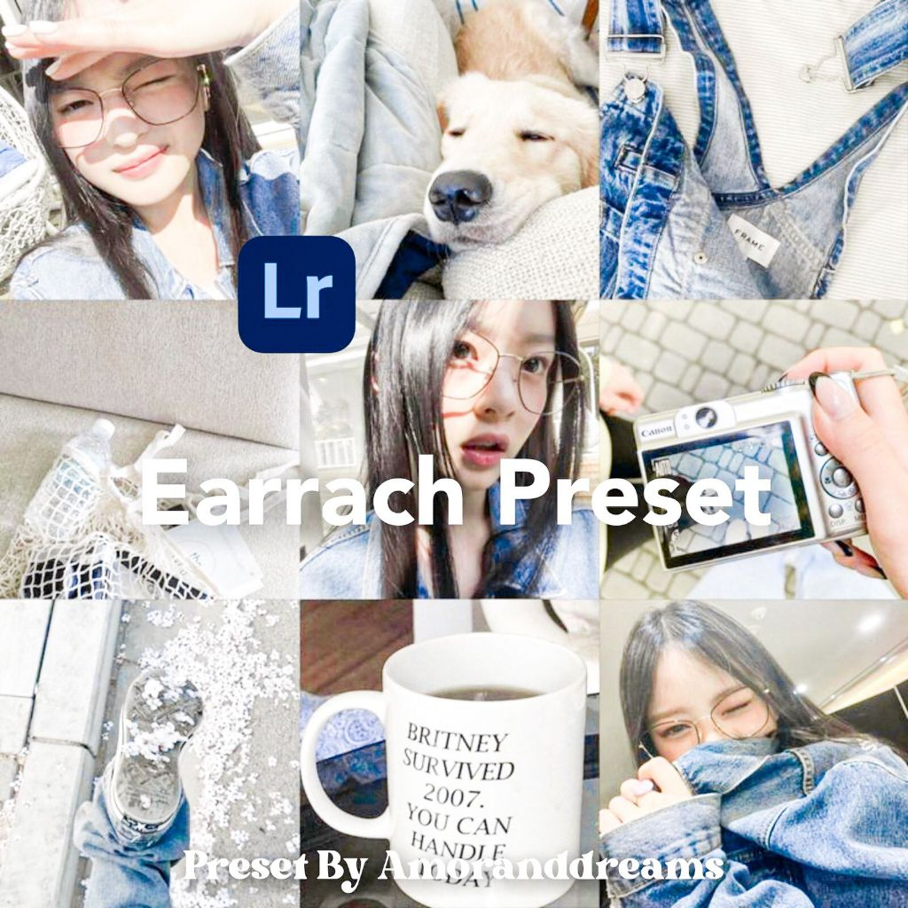 Jual Earrach Lightroom Preset For ios or Android// Filter Foto// Edit Foto | Shopee Indonesia