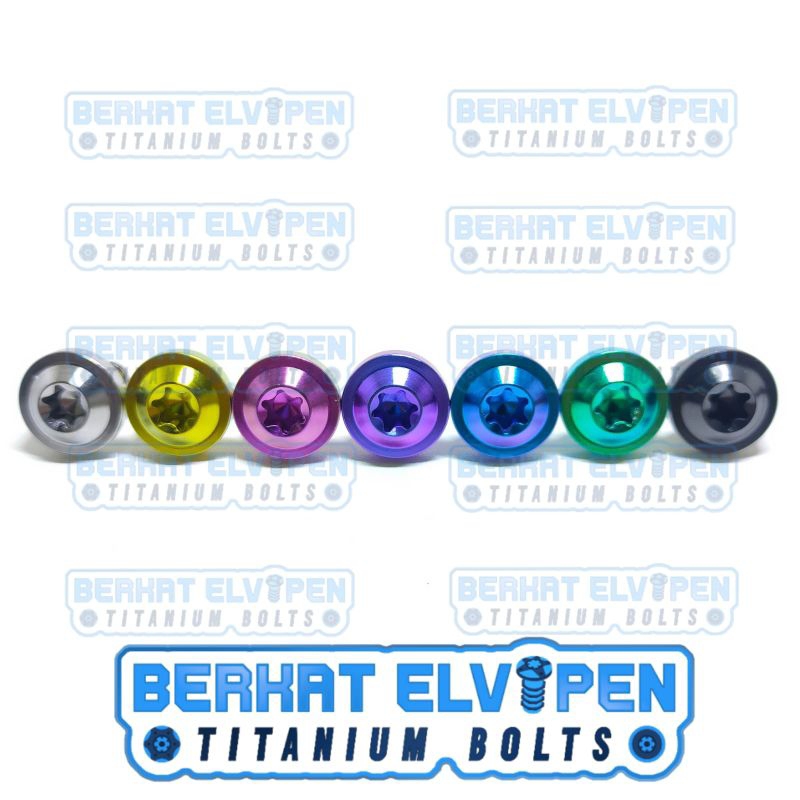 Jual Baut Titanium BIG HEAD M6x15 Drat 10 Panjang 15 mm | Shopee Indonesia