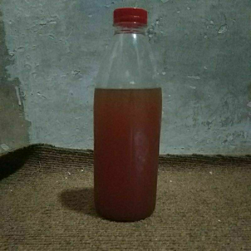 Jual ALZbehealthy Minuman tepache 500 ml | Shopee Indonesia