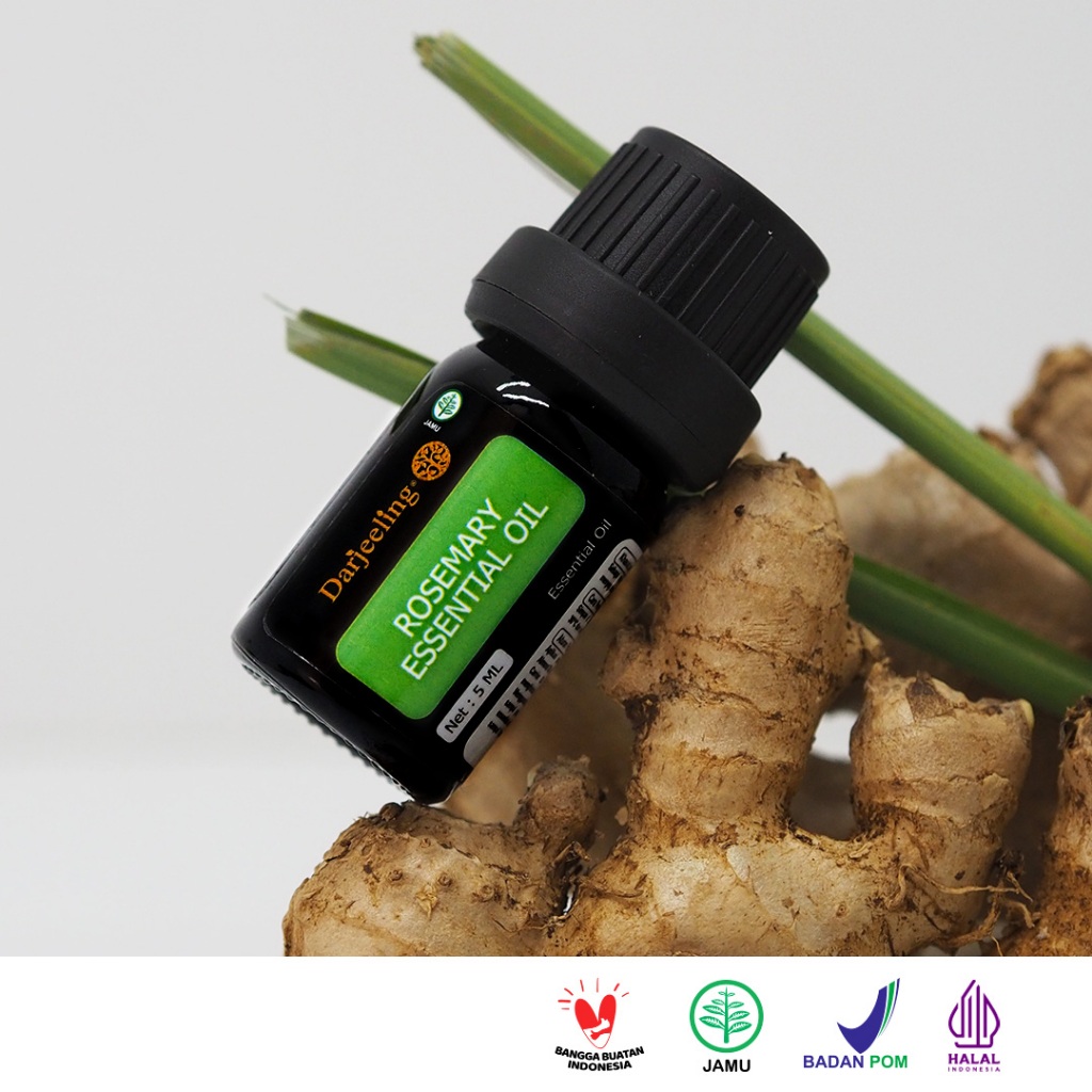 Jual Darjeeling Rosemary Essential Oil / Minyak Rosemary Aromaterapi ...