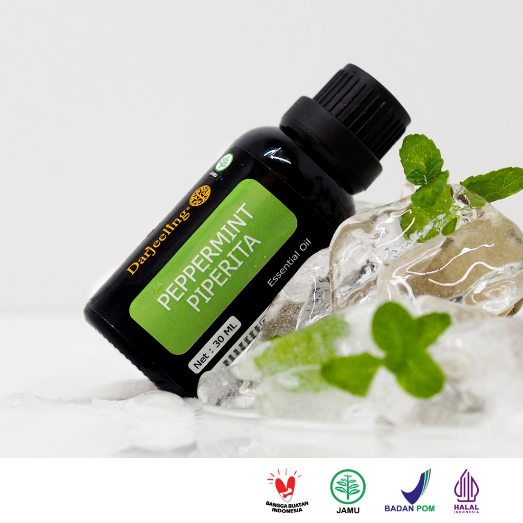 Jual Darjeeling Peppermint Piperita Pure Essential Oil / Minyak Daun Mint Aromaterapi ...