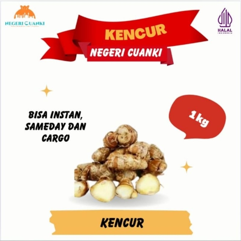 Jual Kencur Segar 1kg Asli Petani Bumbu Seblak dan Masakan | Shopee ...