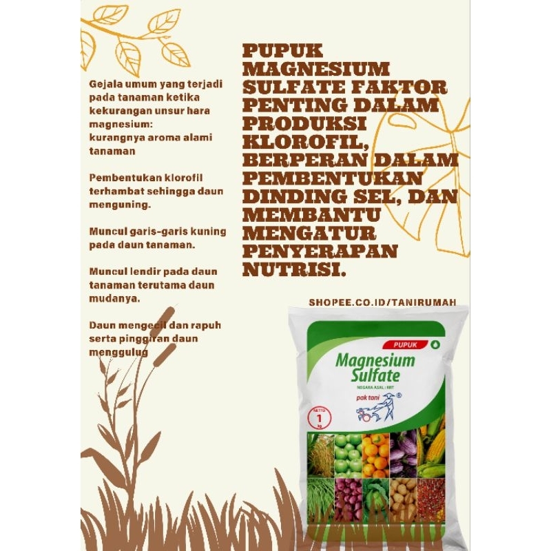 Jual PUPUK MAGNESIUM SULFATE PAK TANI REPACK 100GRAM | Shopee Indonesia