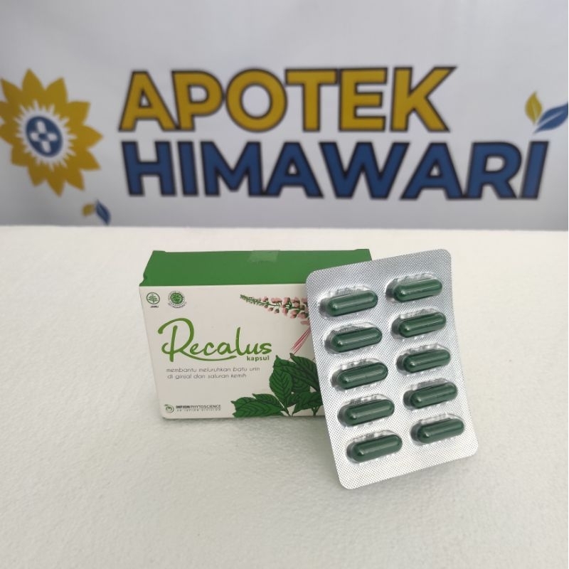 Jual Recalus 1 Strip 10 Kapsul | Shopee Indonesia