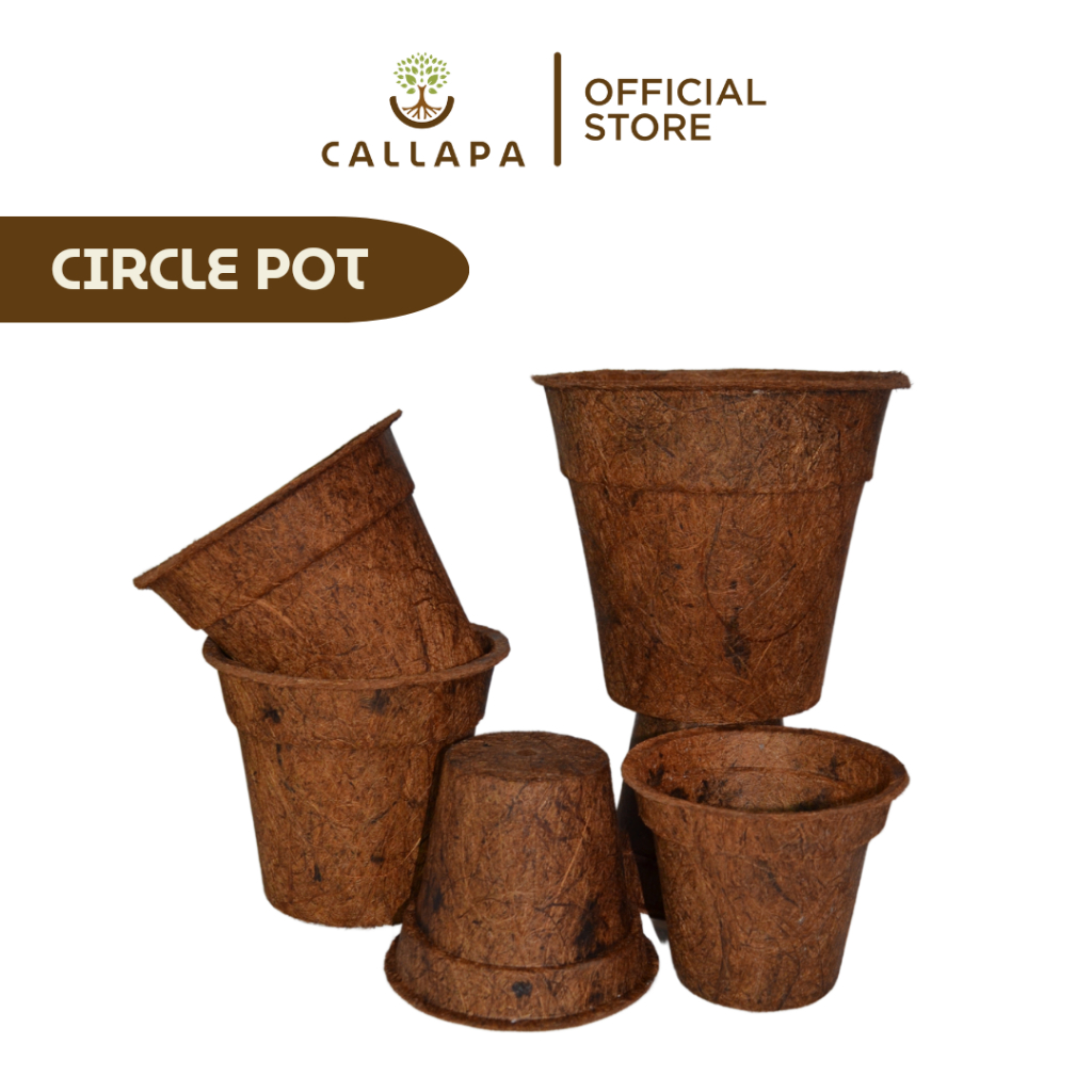 Jual Callapa - Circle pot - Large (Coco fiber pot / Coco Pot) | Shopee ...