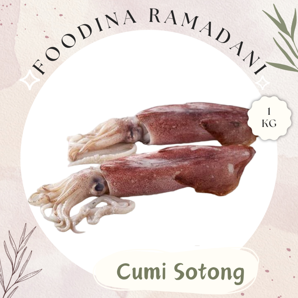 Jual CUMI SOTONG Jumbo Besar - Squid Fresh [ Berat 1.000gr ] Harga Per ...