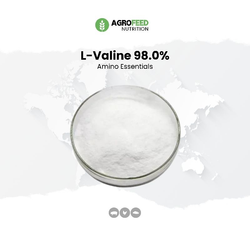Jual L-VALINE Valin 98% CJ Cheil Jedang Best Amino Pertumbuhan & Produktivitas Hewan Ternak ...