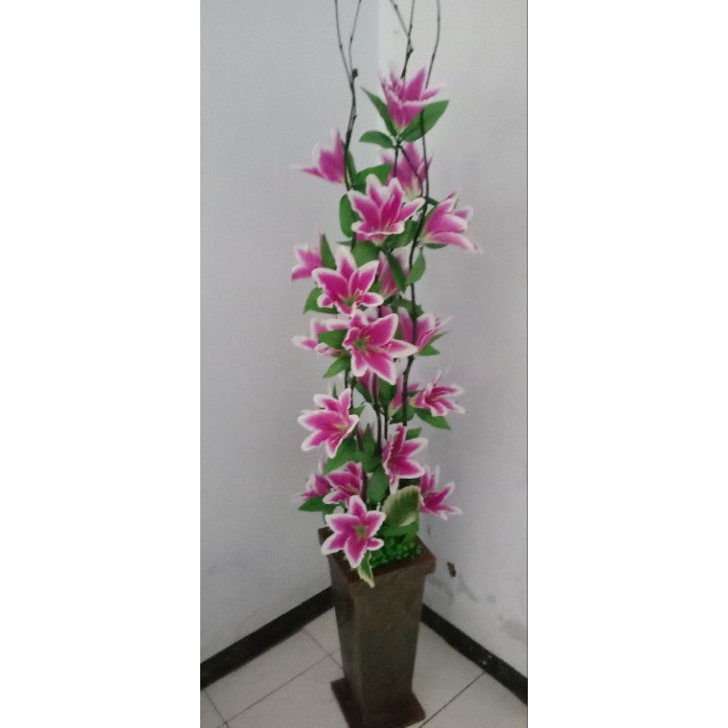 Jual Bunga sudut Casablanca cantik | Shopee Indonesia