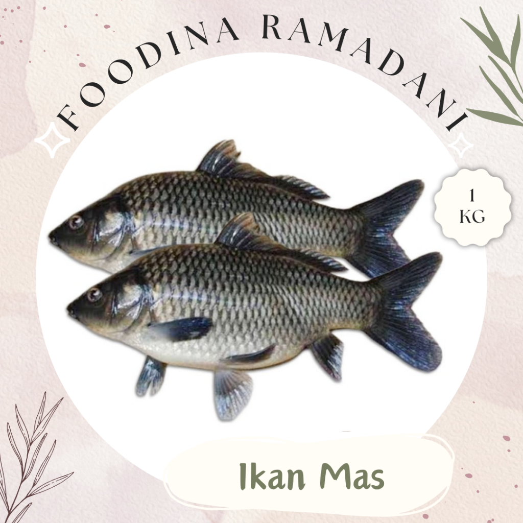 Jual IKAN MAS Karper - Carp Fish Fresh [ Berat 1.000gr ] Harga Per KG ...