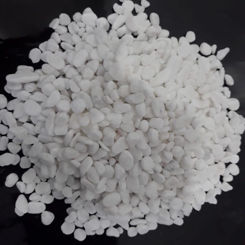 Jual Batu Putih Italy [1kg] - White Italian Pebble Stone hiasan ...