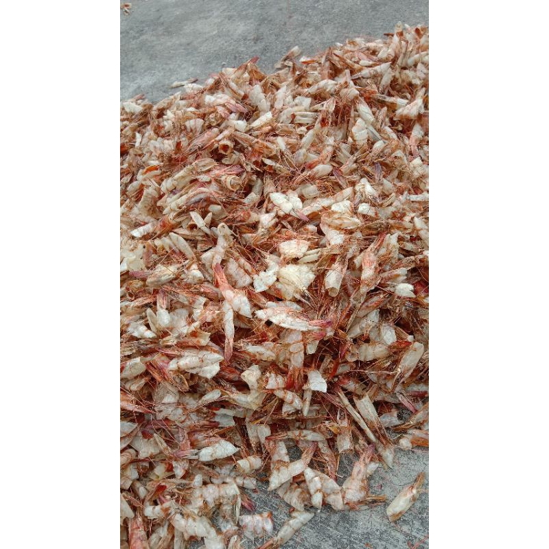Jual kepala udang campur kulit kering segar | Shopee Indonesia
