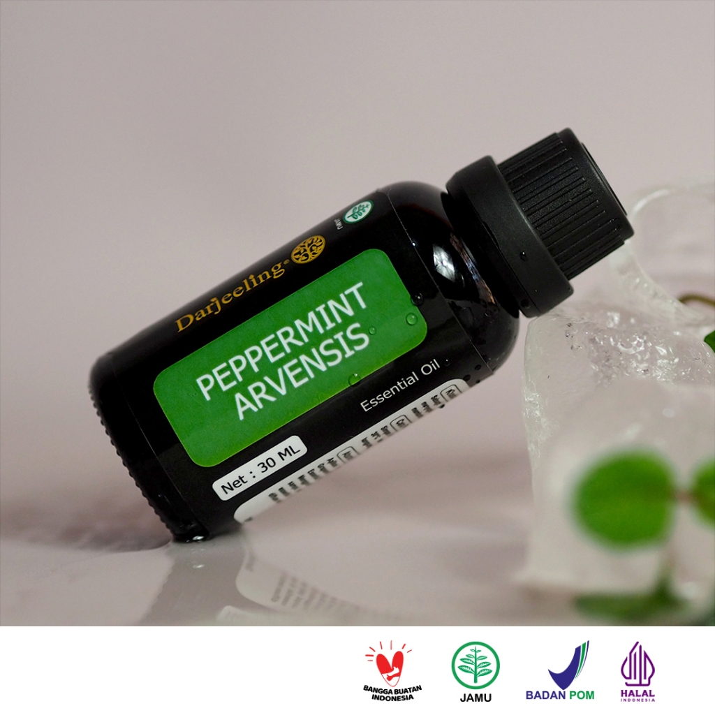 Jual Darjeeling Peppermint Pure Essential Oil / Minyak Daun Mint Aromaterapi Therapeutic Grade ...