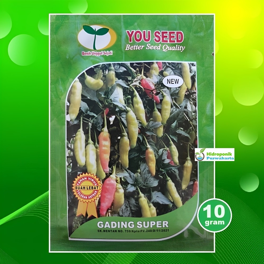 Jual Benih Cabe Rawit GADING SUPER 10 gram Tipe CABE KALIBER Cap You ...