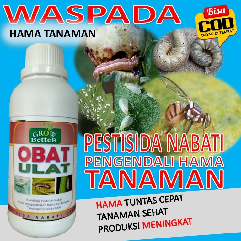 Jual Pestisida Nabati Obat Hama Ulat Daun Ulat Grayak Belalang Kutu ...