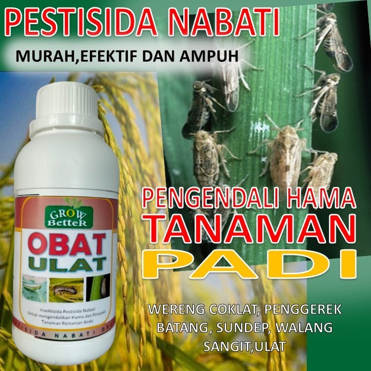 Jual Pestisida Organik Obat Ampuh Untuk hama wereng Tugro Walangsangit ...