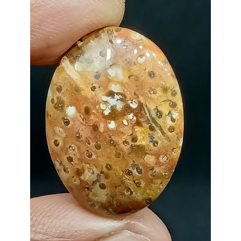 Jual Batu Posil Bambu Merah | Shopee Indonesia