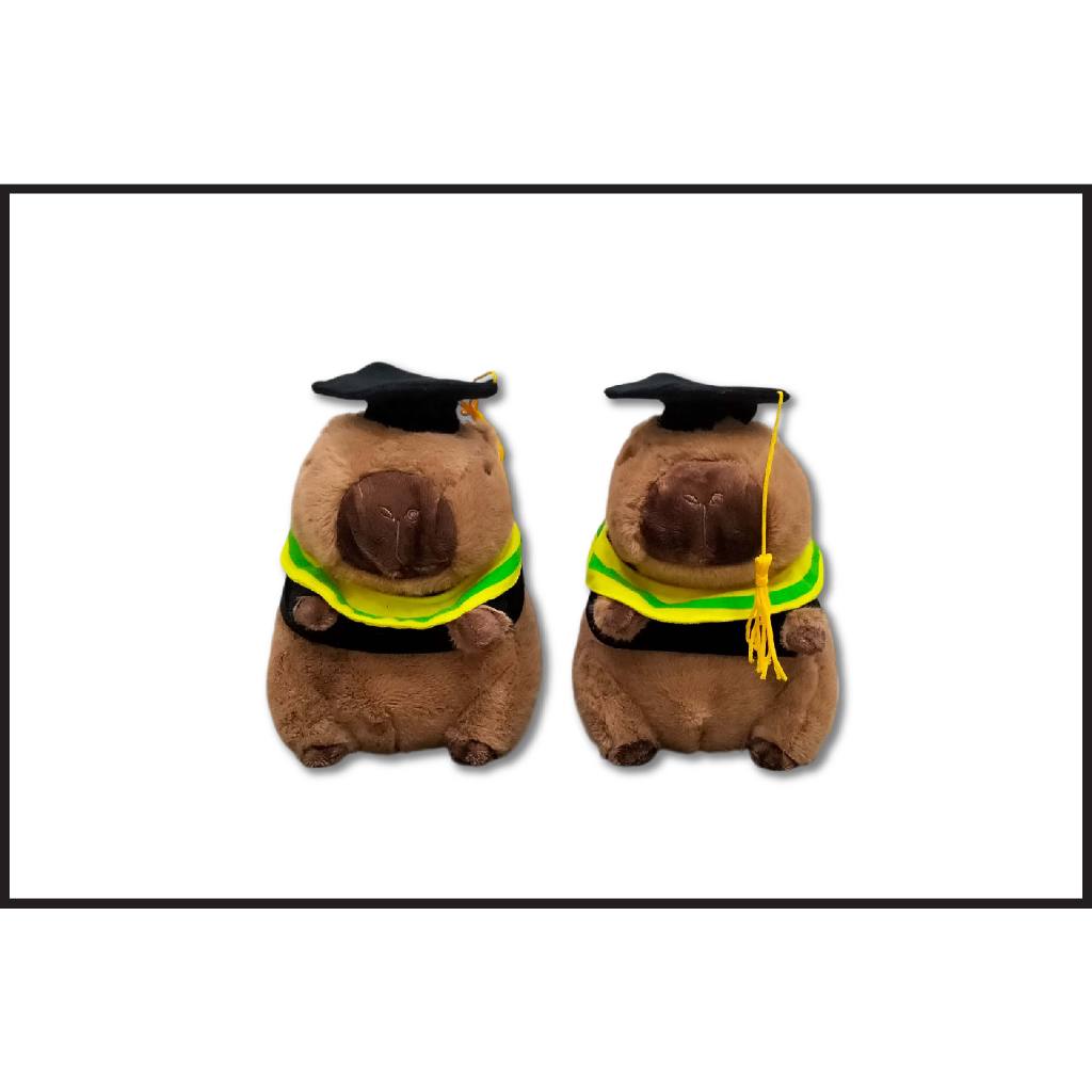 Jual Boneka Hewan Kapibara Wisuda Lucu Ingus | Shopee Indonesia