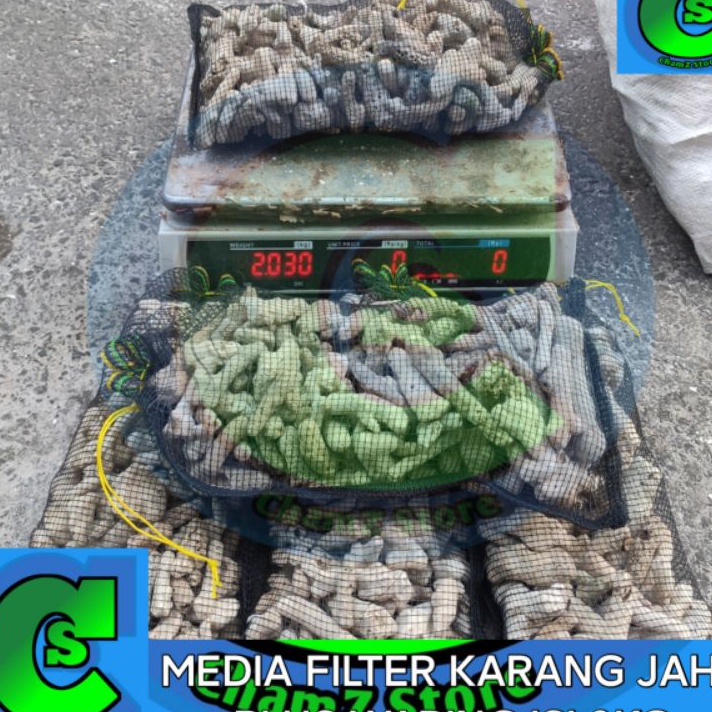 Jual PAKET karang jahe media plus waring isi 2kg karang jahe media kolam karang jahe media rium ...