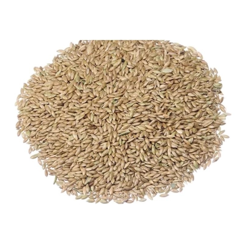 Jual KENARI SEED REPACK 1/2KG 1KG | Shopee Indonesia
