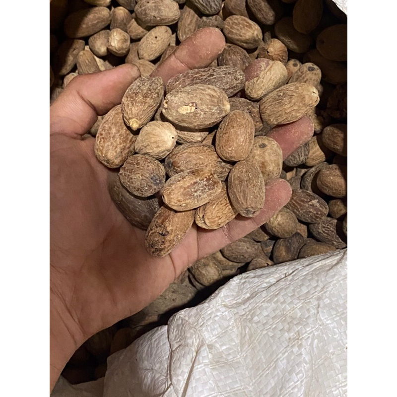 Jual pala kupas lonjong / pala kupas rempah bumbu dapur | Shopee Indonesia
