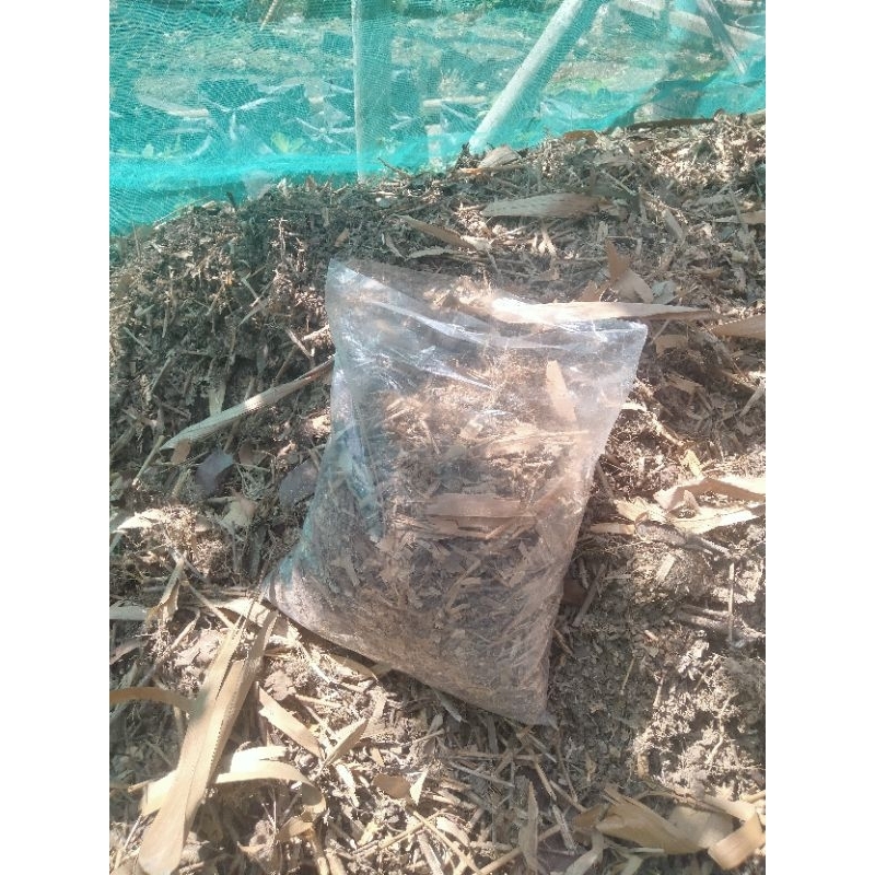 Jual Humus bambu1kg | Shopee Indonesia