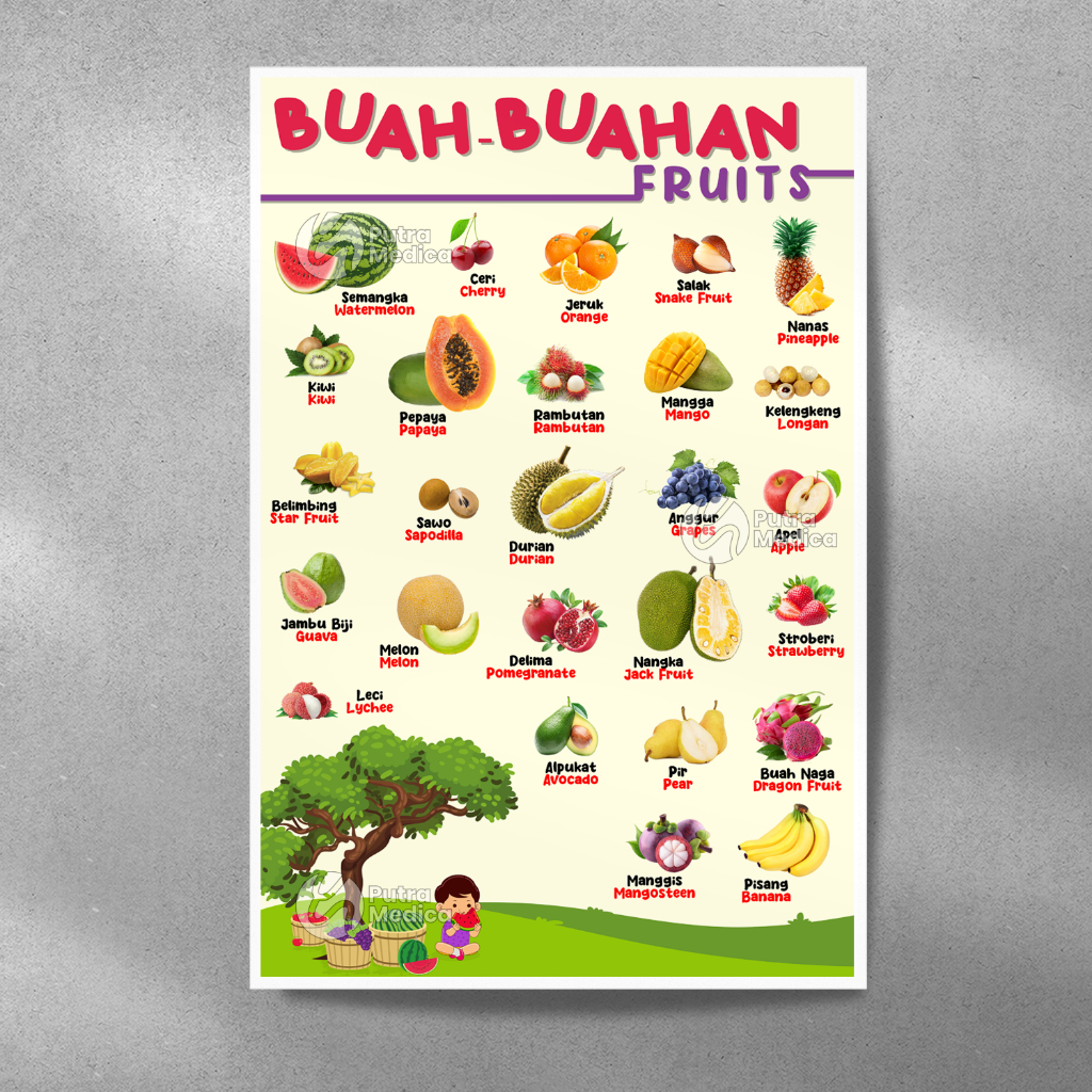 Jual Poster Mengenal Buah - Buahan A3+ / Gambar Edukasi Anak / Belajar ...