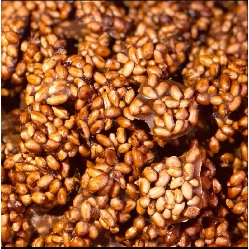 Jual 1 bal 2,5 kg ampyang gula kacang rasa jahe /jajanan jadul ...