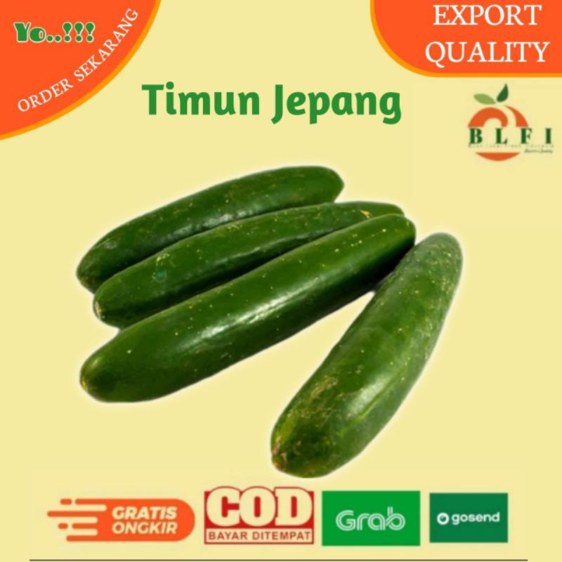 Jual TIMUN JEPANG/TIMUN KYURI 1KG | Shopee Indonesia