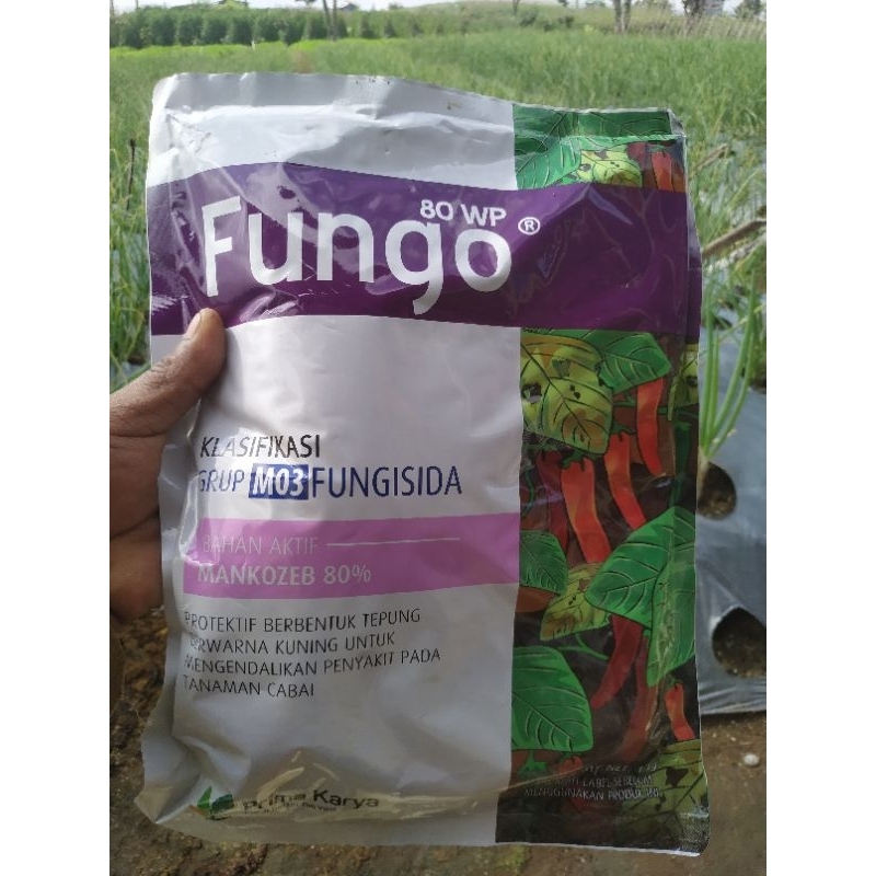 Jual Fungisida Fungo 80wp 1kg Produk Original | Shopee Indonesia