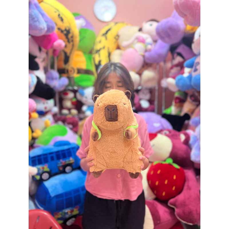Jual Boneka Capybara Marmut Lucu | Shopee Indonesia