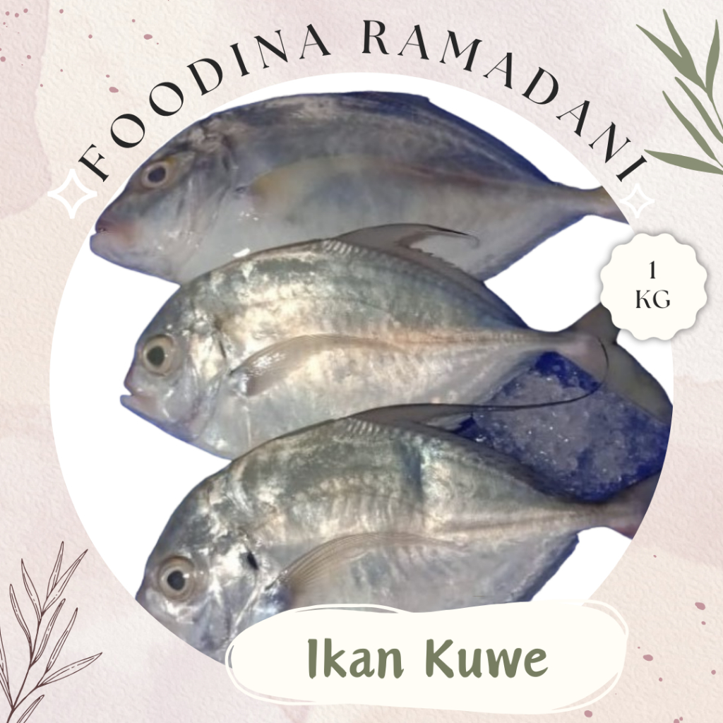 Jual IKAN KUWE Kwe - Giant Trevally Fish Fresh [ Berat 1.000gr ] Harga ...
