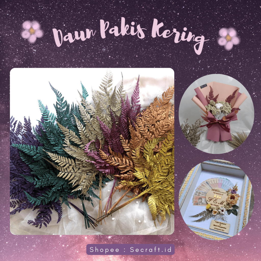 Jual DAUN PAKIS KERING | Shopee Indonesia