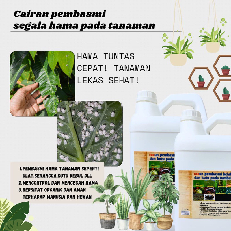 Jual pembasmi hama tumbuhan semut,kutu putih dan hama lainnya isi 5 ...