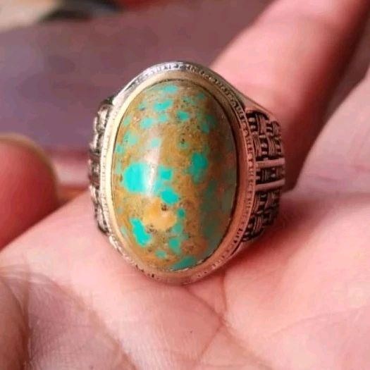 Jual pirus persia | Shopee Indonesia
