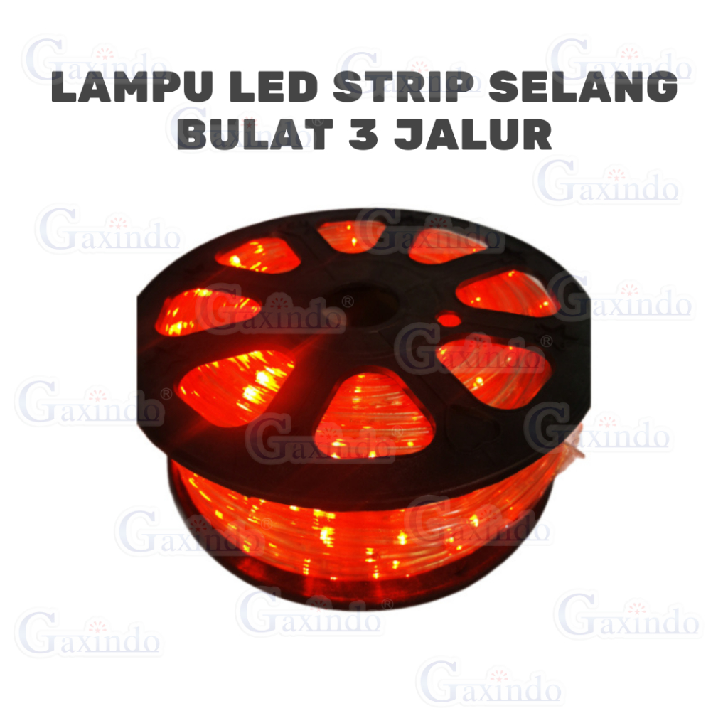 Jual LAMPU LED STRIP SELANG BULAT 3 JALUR 100 METER LAMPU HIAS POHON ...