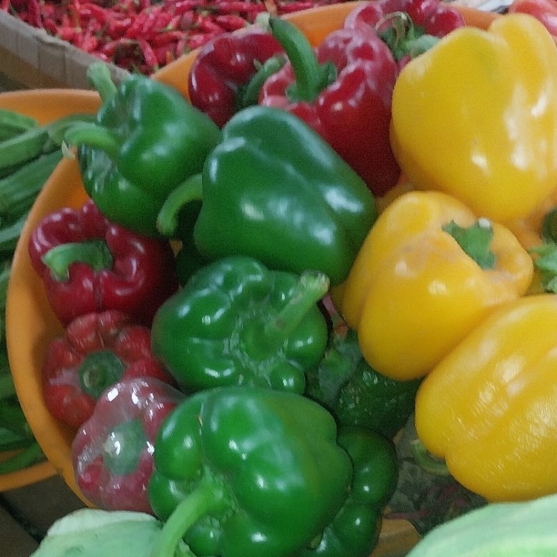 Jual cabe paprika | Shopee Indonesia